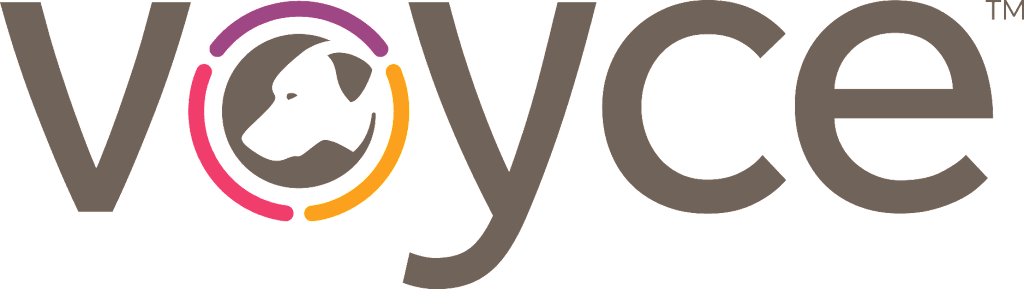 Voyce - Beyond PR Group