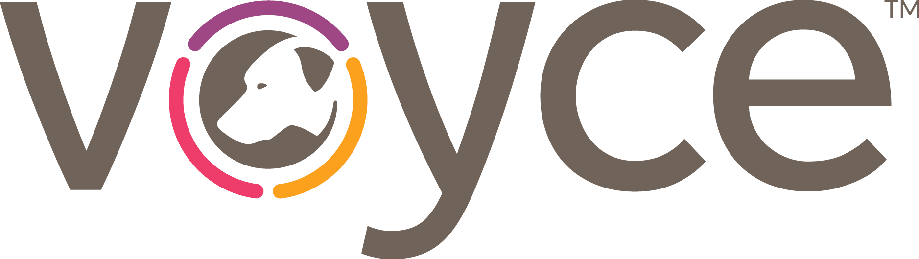Voyce - Beyond PR Group